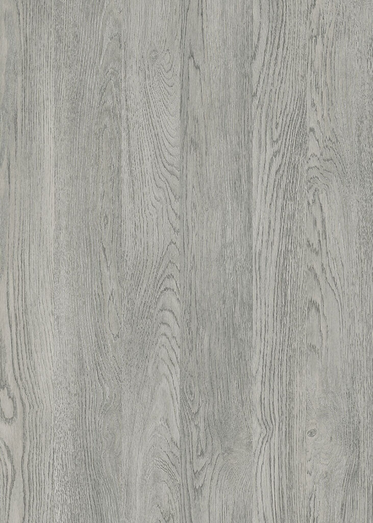 사비올라 | 일흥건영