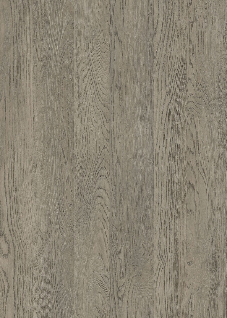 사비올라 | 일흥건영